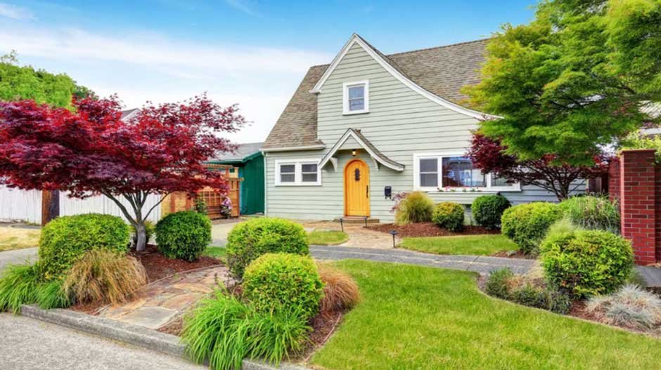 Tree Shapes for Landscaping: Choosing the Right Form for Your Garden ...